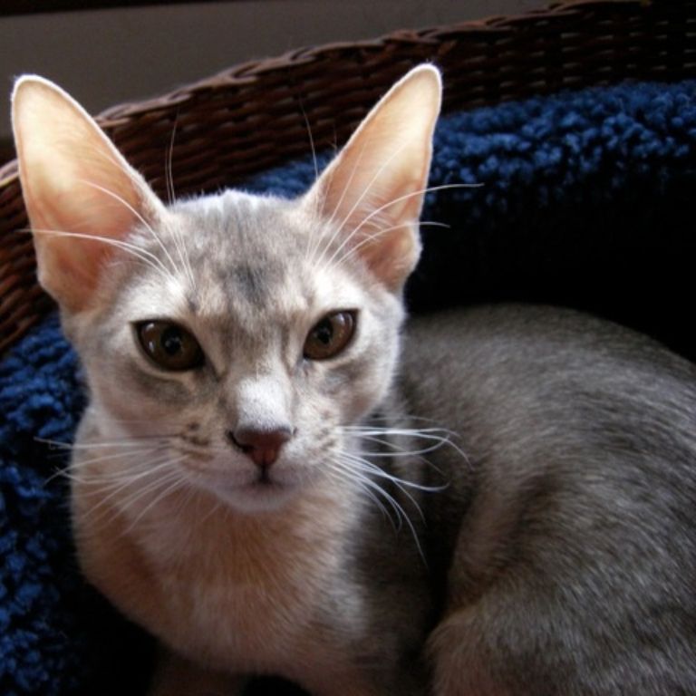 Mark Hillery | Hunter College