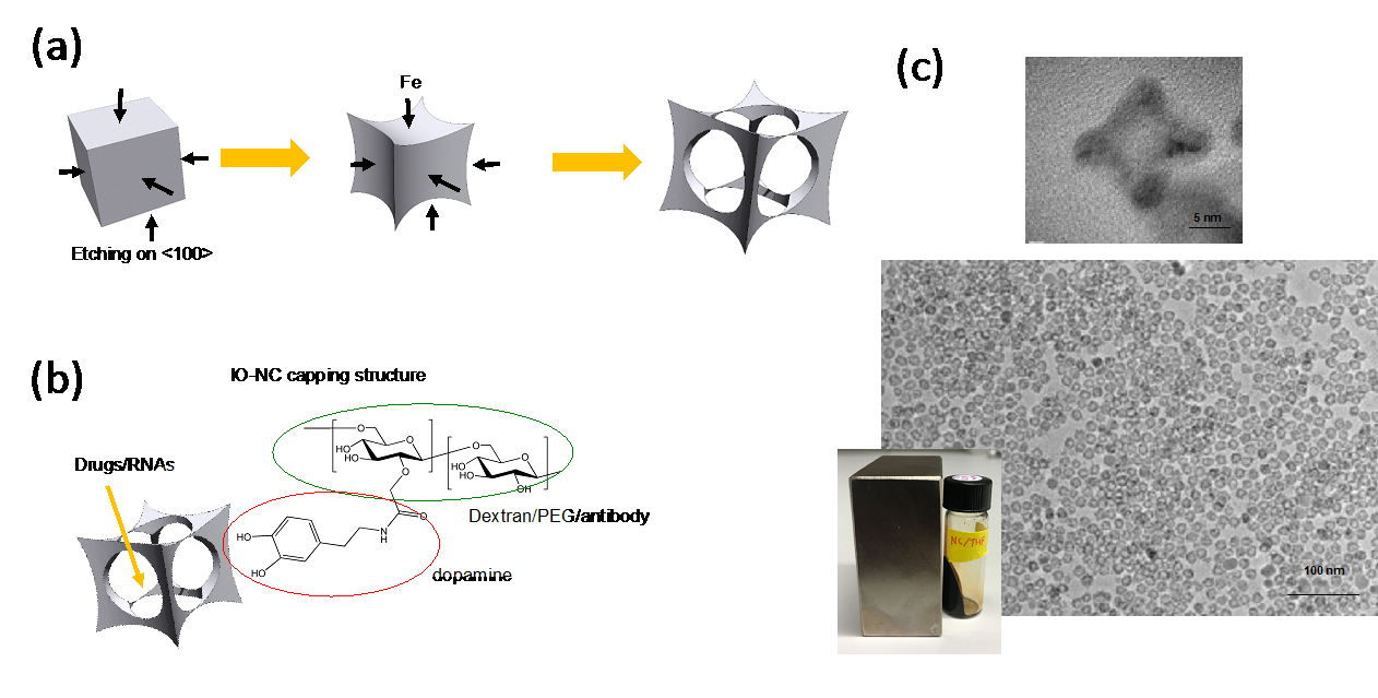 Hiroshi Matsui | Hunter College